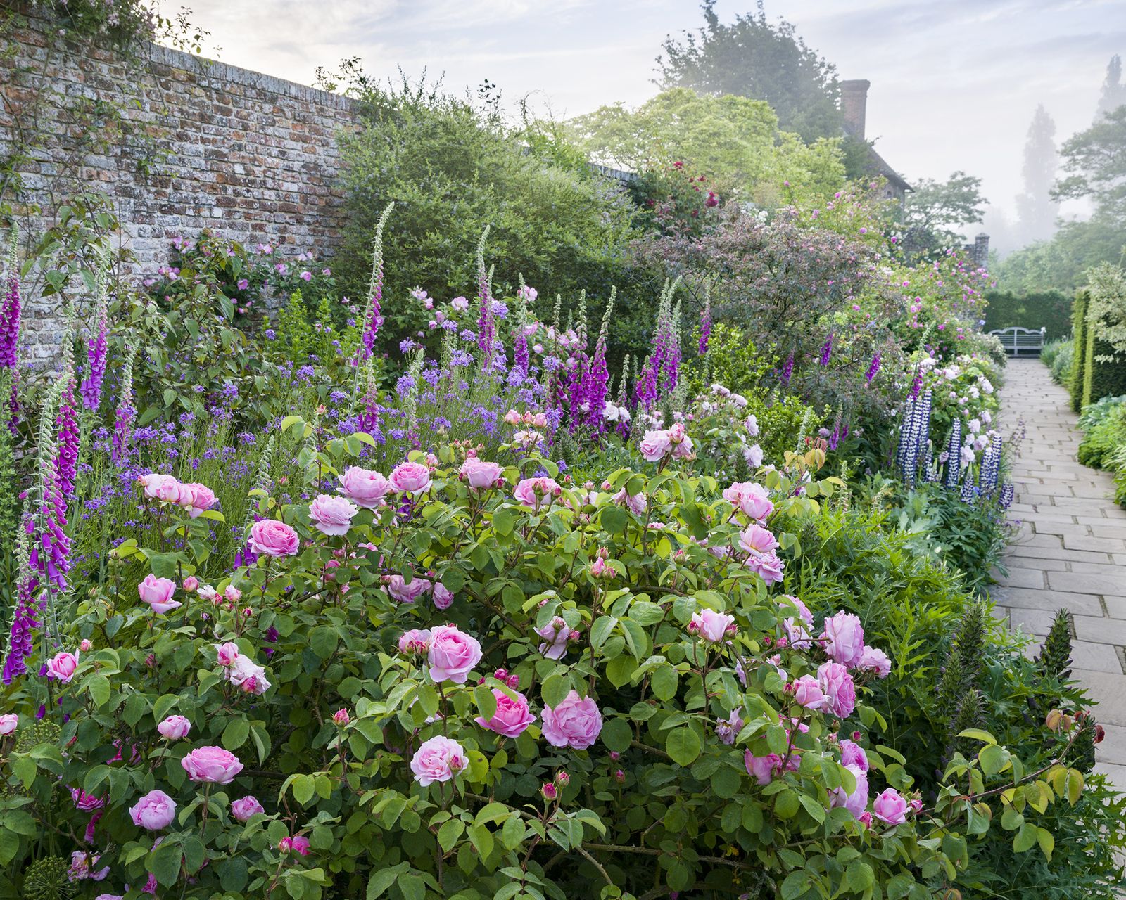 Landscaping with roses: 9 expert ways to use them | Gardeningetc