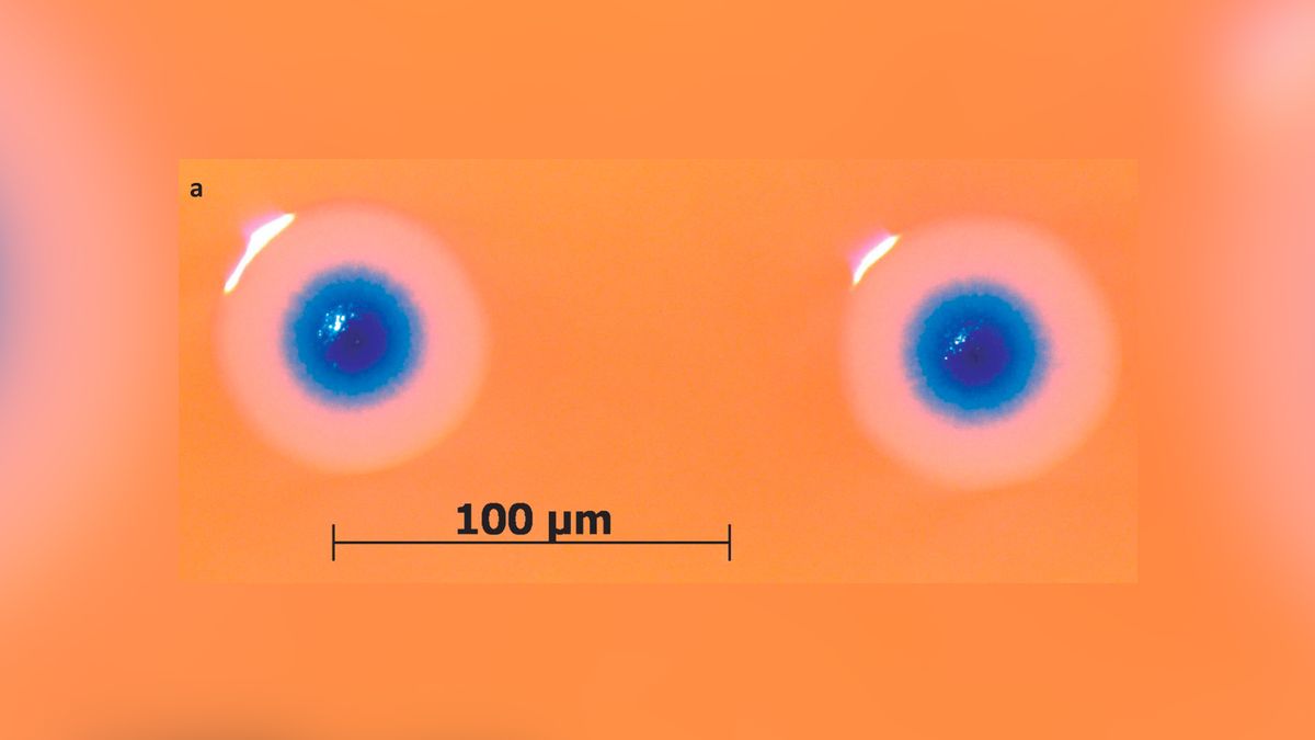 The 10 Biggest Science Stories of the Decade | Live Science