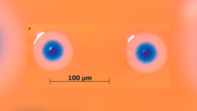 The 10 Biggest Science Stories of the Decade | Live Science