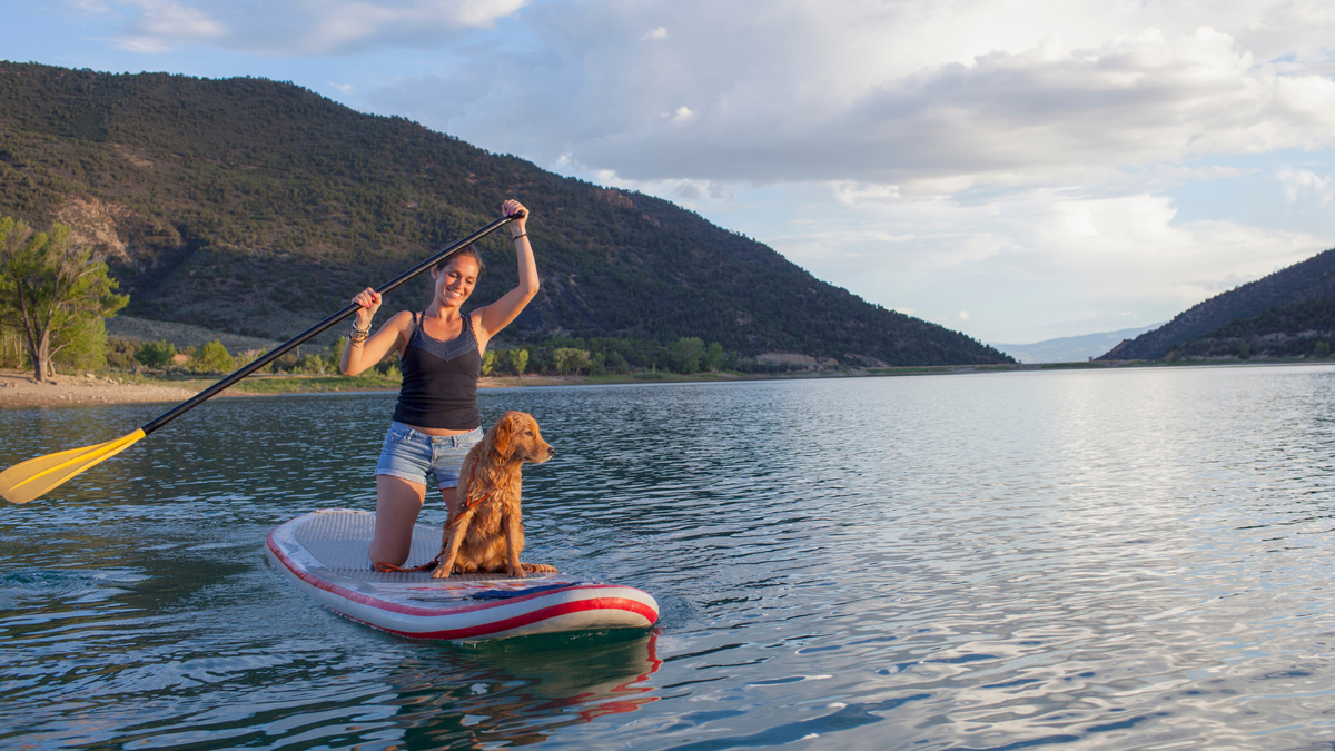 A beginner’s guide to paddleboarding with a dog | PetsRadar