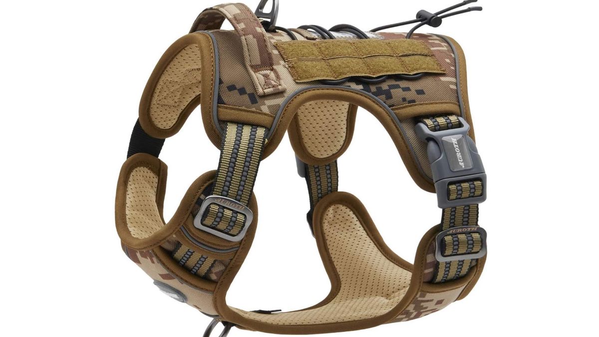Best dog harness for maximum control | PetsRadar