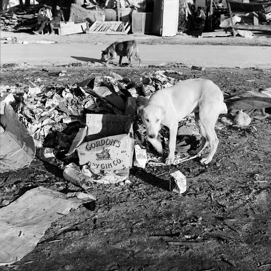 Jo Ractliffe reflects on 35 years of 'expanding the frame' | Wallpaper