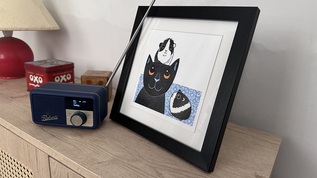 Roberts Revival Petite 2 review: a tiny, cute, and utterly irresistible ...