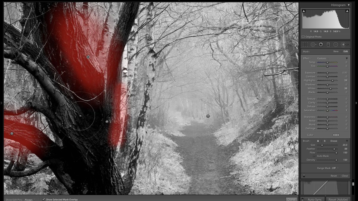 Create amazing monochrome masterpieces in Software | Digital Camera World