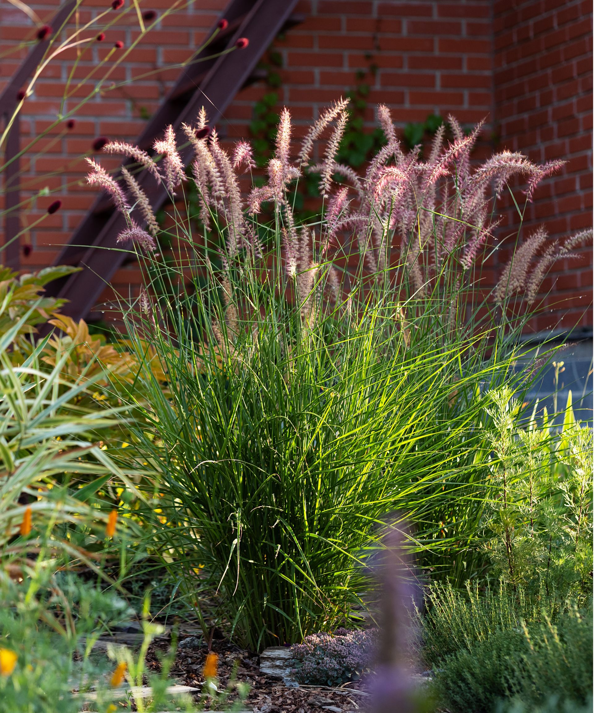 What is a memory garden? 5 ways to remember loved ones | Homes and Gardens