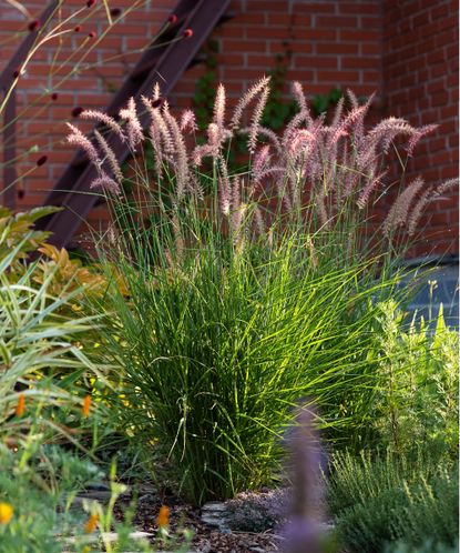 What is a memory garden? 5 ways to remember loved ones | Homes and Gardens