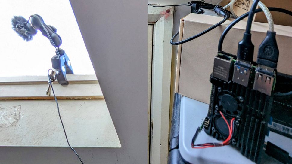 Raspberry Pi Project Detects and Recognizes Bird Calls | Tom's Hardware