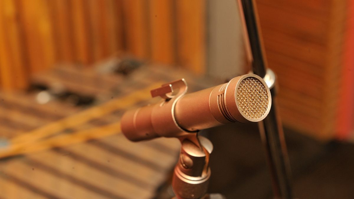Best microphones for recording 2025: My top studio mics | MusicRadar