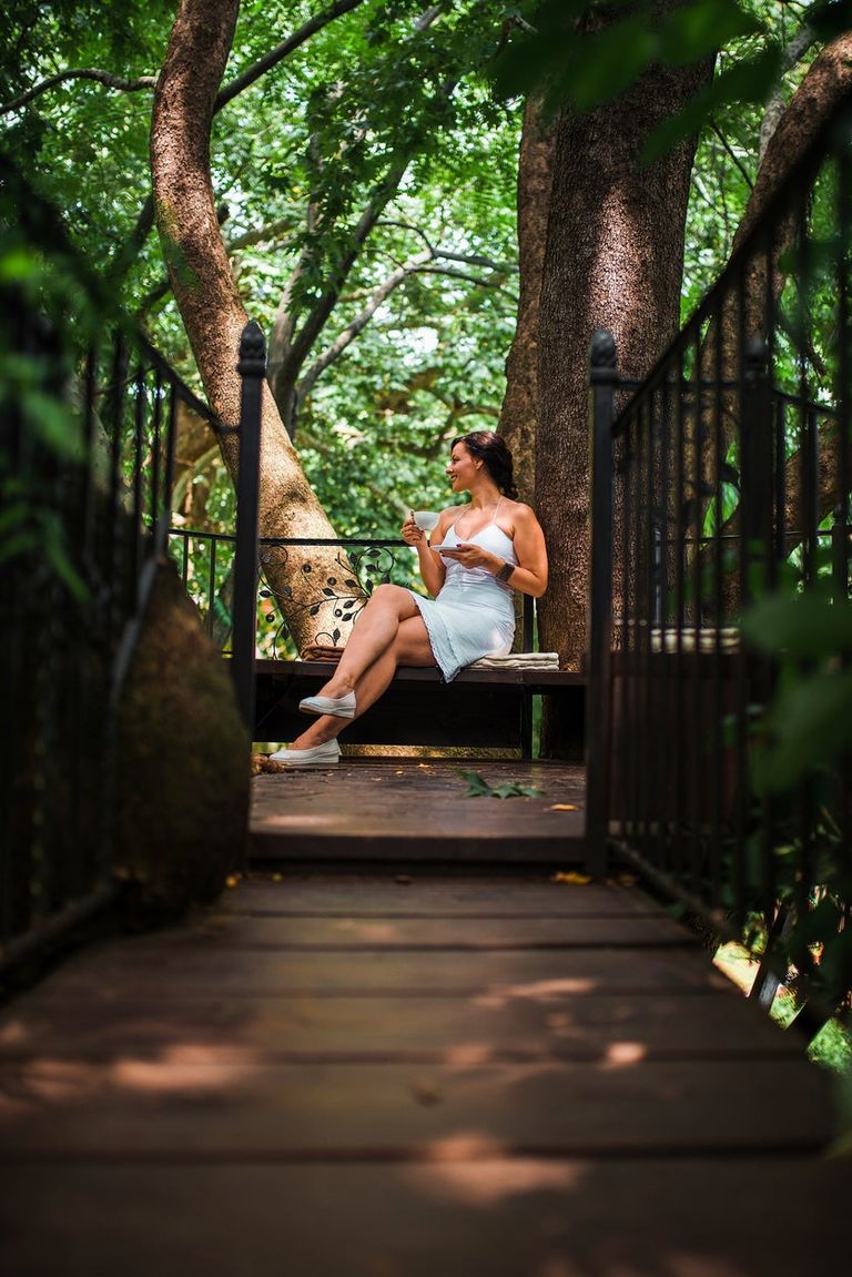 Adult Treehouse Ideas – How To Make An Adult Treehouse For Your Garden ...