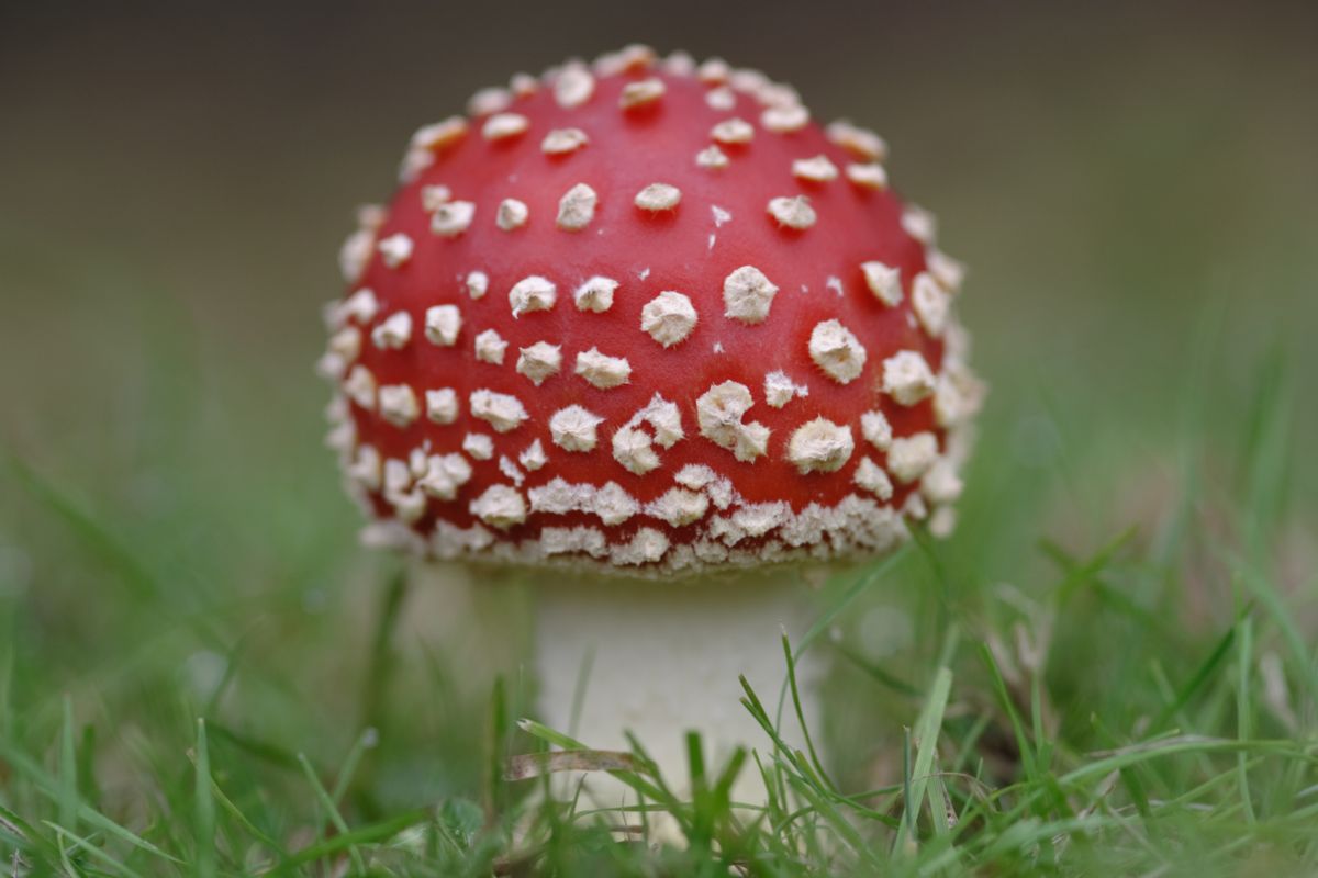 Ready for your close-up? Win thousands, thanks to new competition for ...