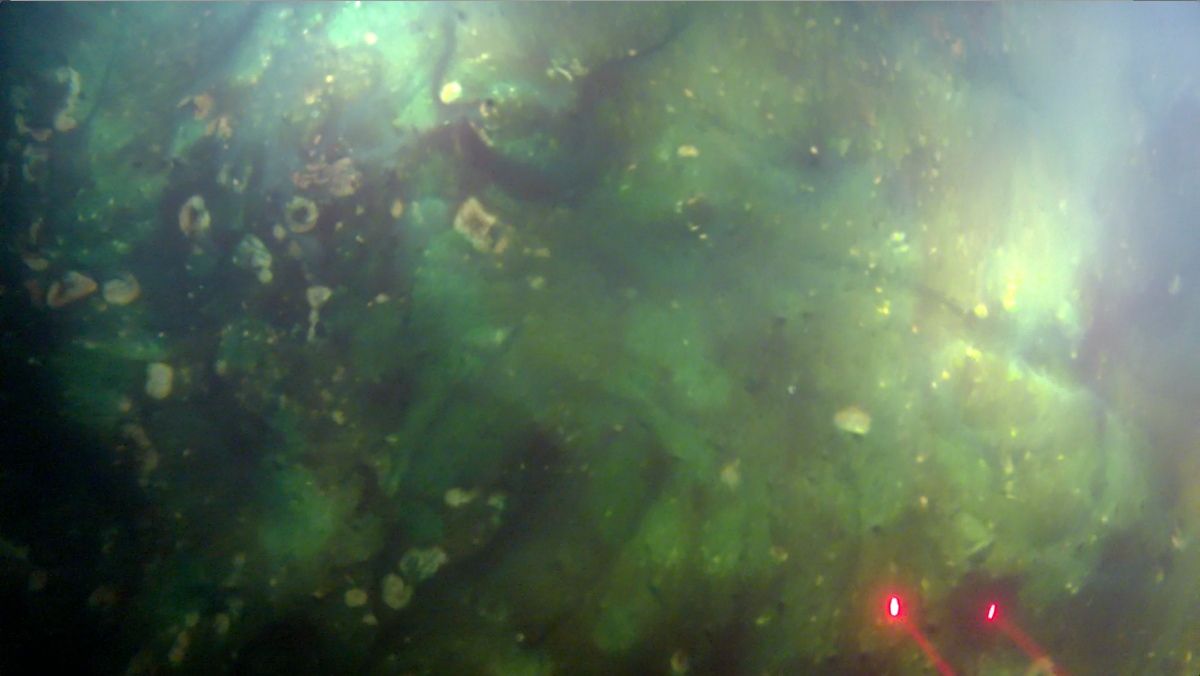 Antarctic Microbes Hold Clue to Earth's Oxygen | Space