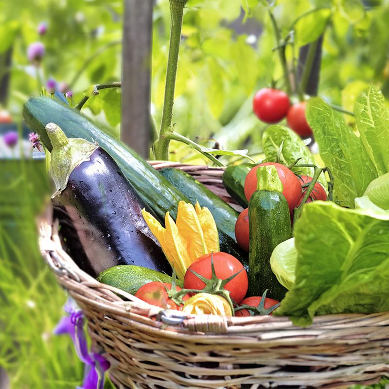 10 Hot Weather Vegetables For Sweltering Summer Gardens | Gardening ...