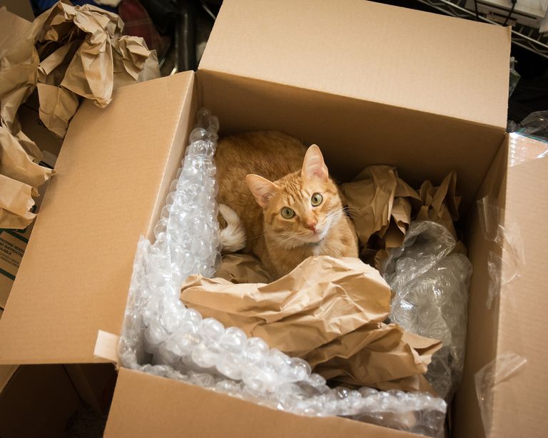 How to pack for a move: a complete checklist for a smooth transition ...