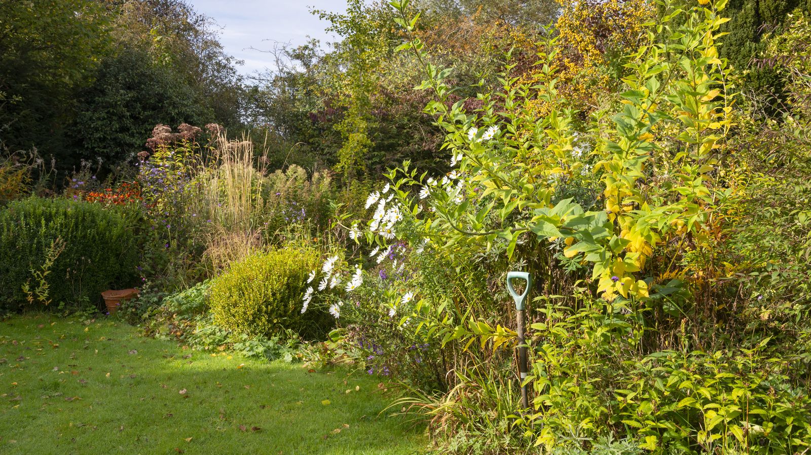4 things to do to your lawn in October | Livingetc