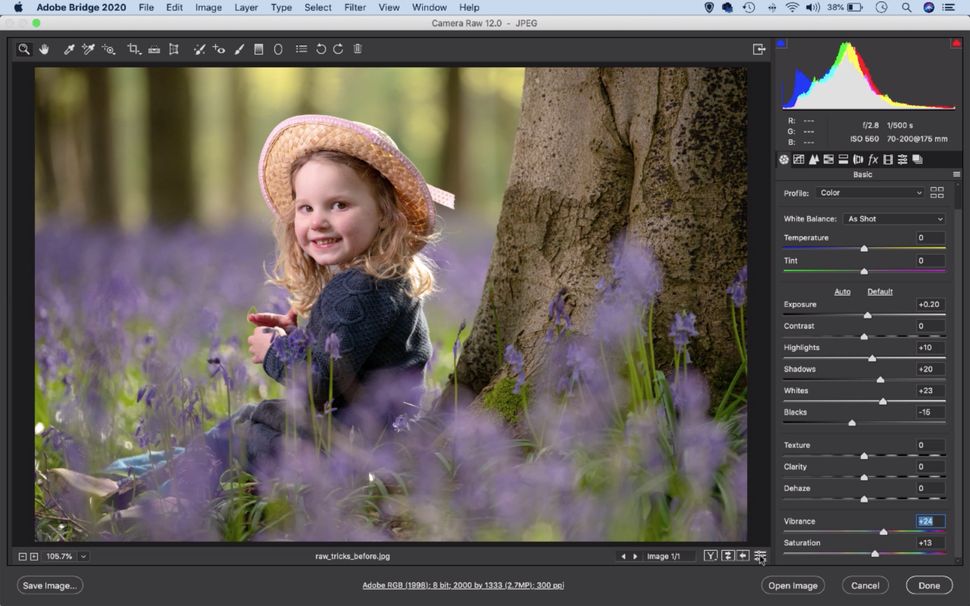 Adobe Camera Raw: Enhance your Raw files easily in Photoshop | Digital ...
