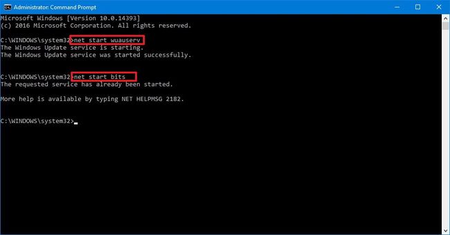 How to clear the 'SoftwareDistribution' folder on Windows 10 and make ...