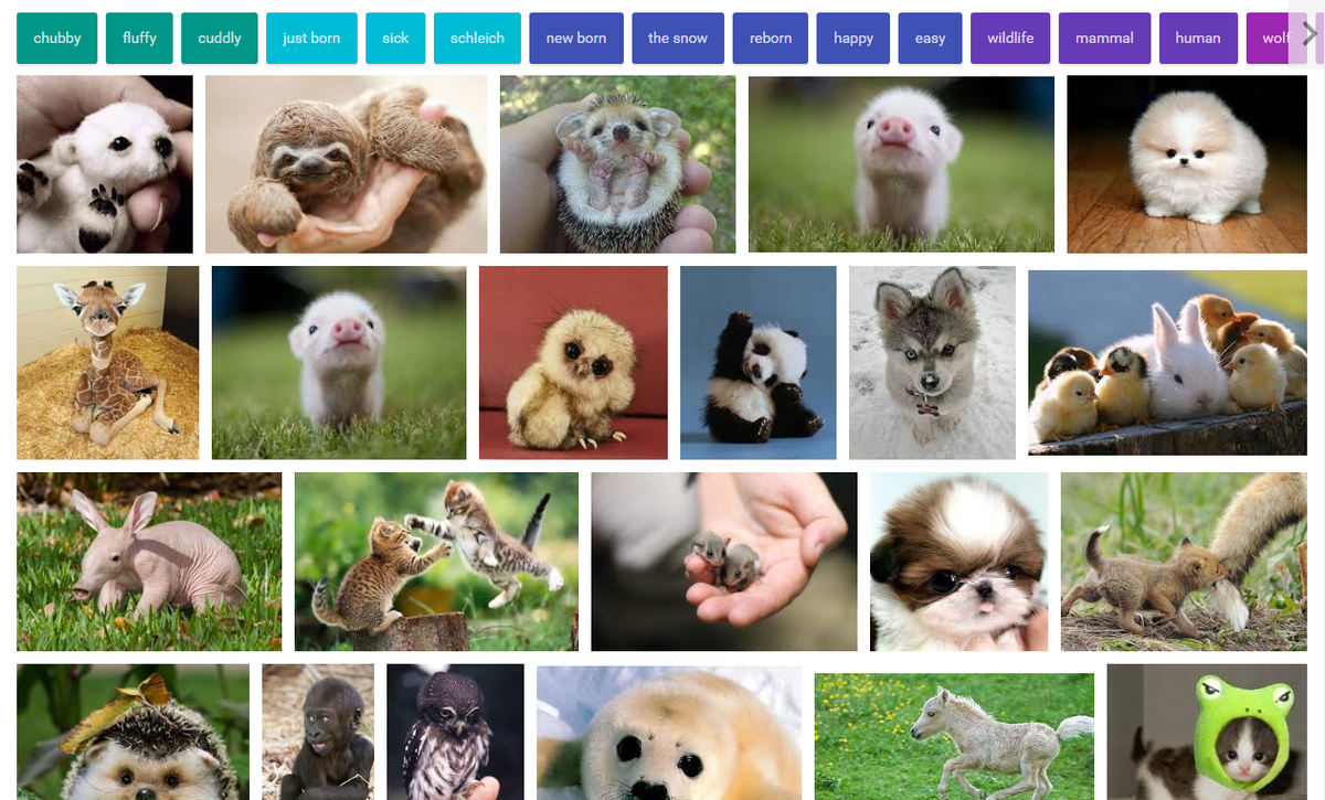 The best Google Assistant commands in 2025 | Tom's Guide