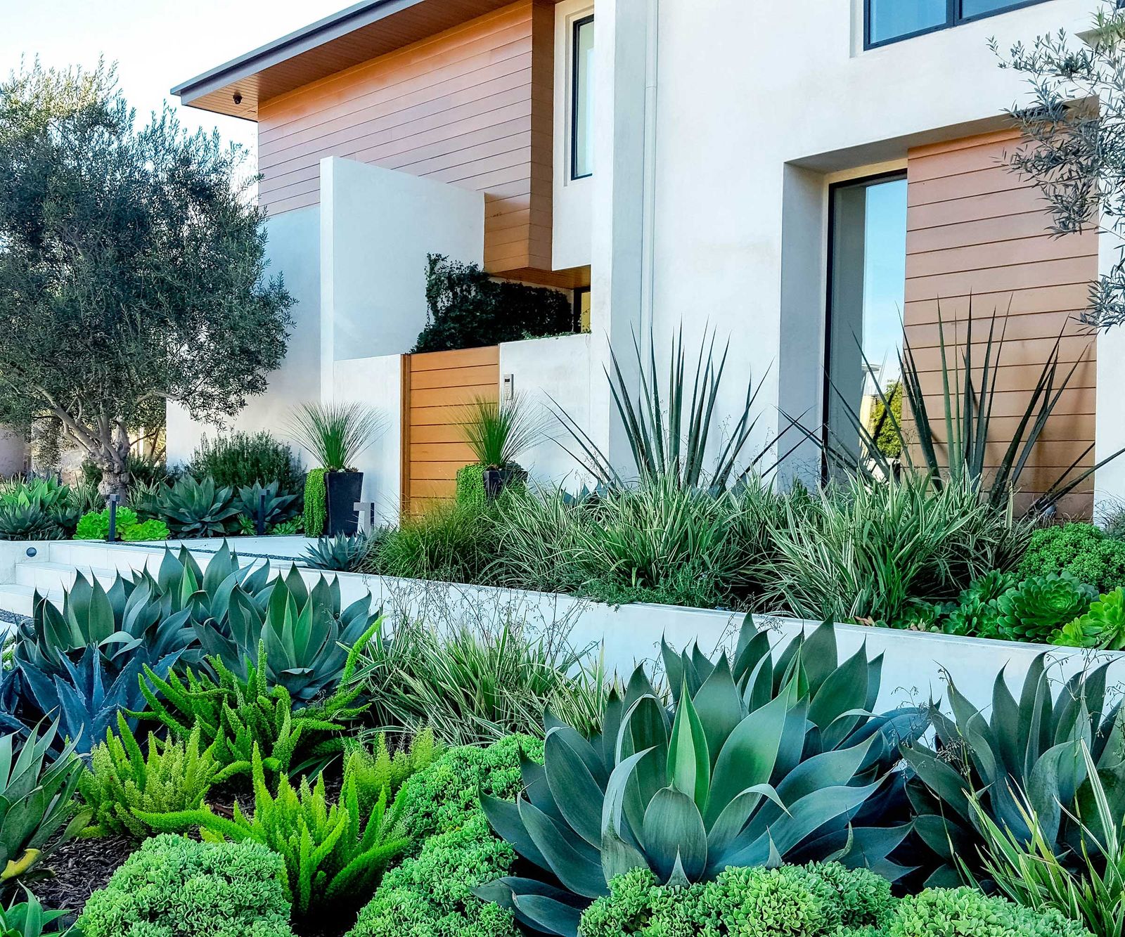 Front yard privacy ideas: 10 stylish screening methods | Homes and Gardens