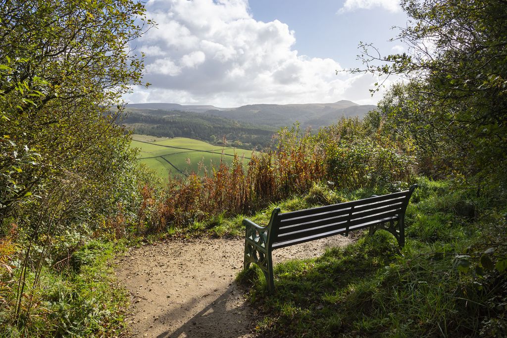 'Rural England need not be retirement England': How hybrid working can ...