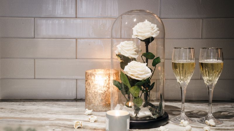 Best eternity rose | Real Homes