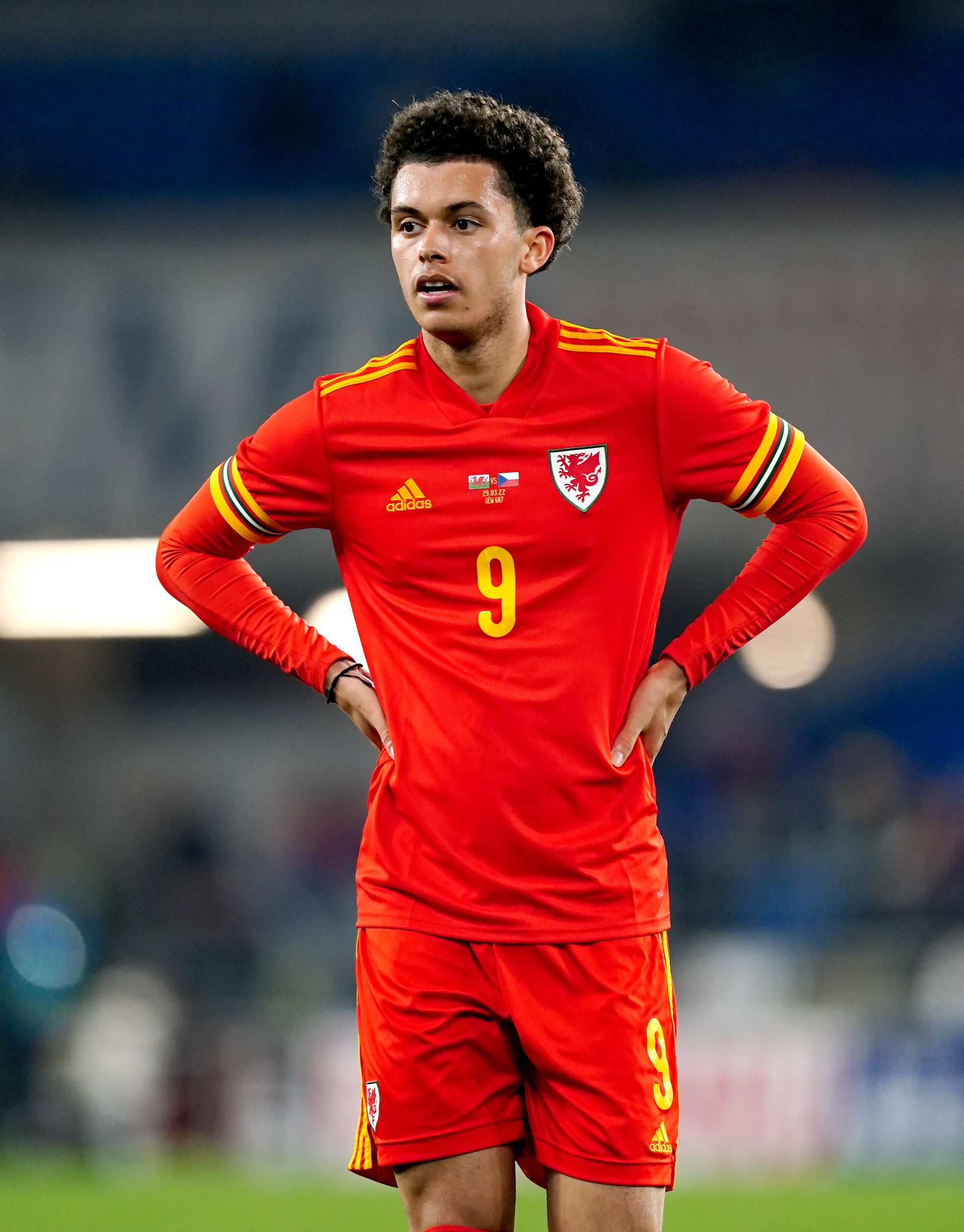 Brennan Johnson: Premier League football with Forest will aid my World ...