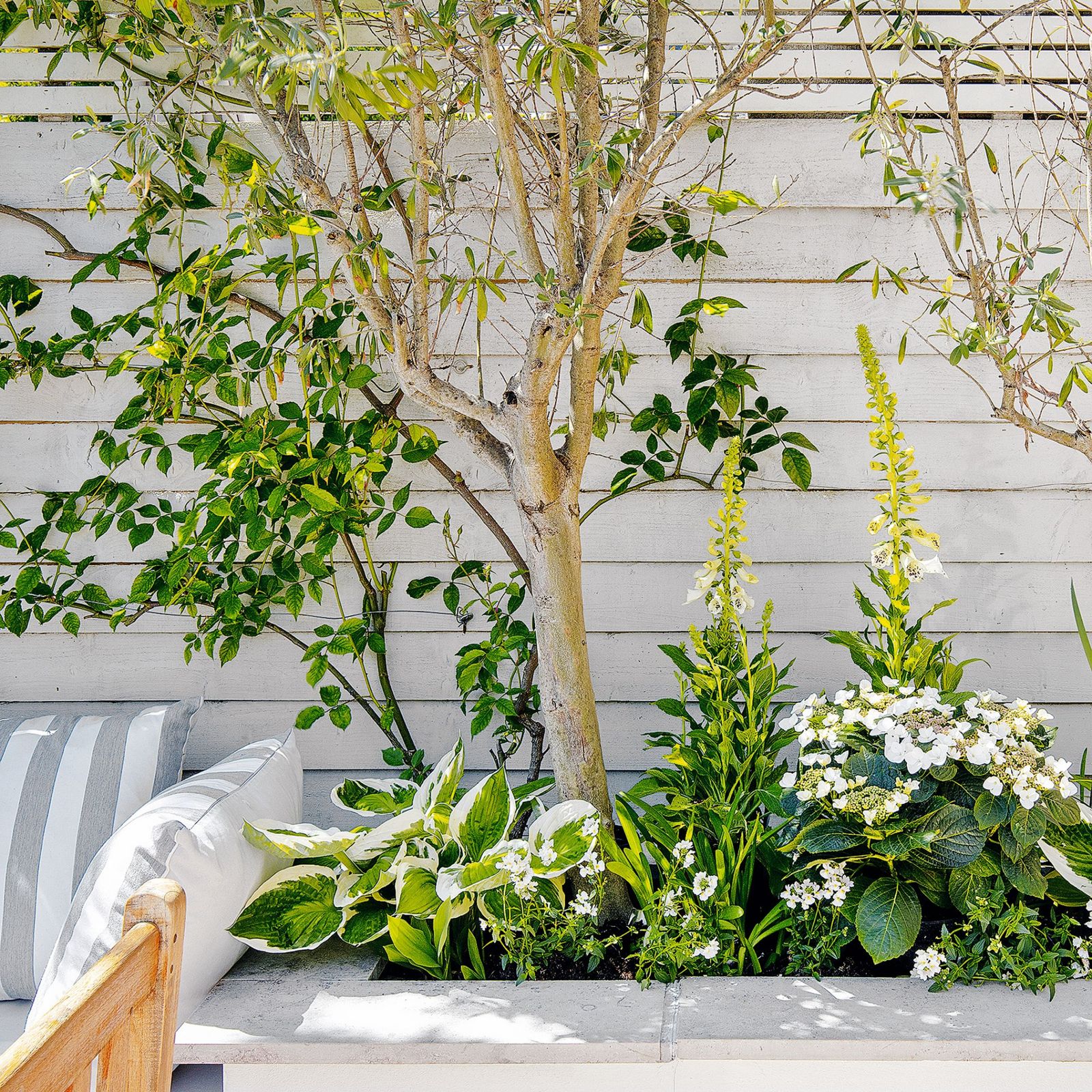 7 shade-loving plants to grow under trees | Ideal Home