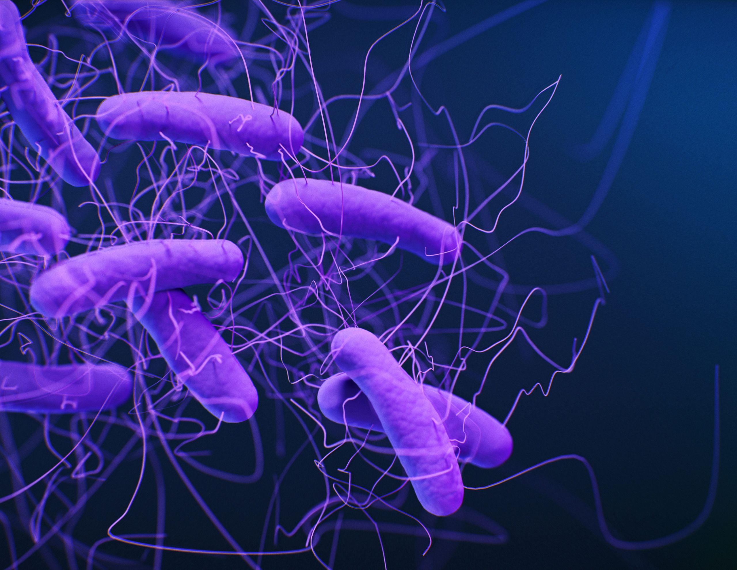 Could poop transplants help treat COVID-19? | Live Science