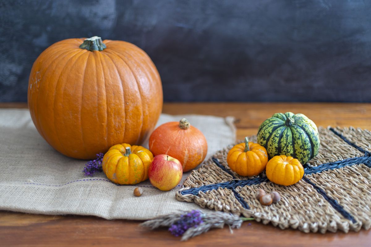 Capture sensational seasonal still life shots before autumn is over ...