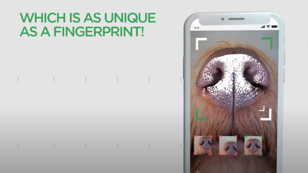 New app uses a photo of a dog's nose to reunite lost pooches with their ...