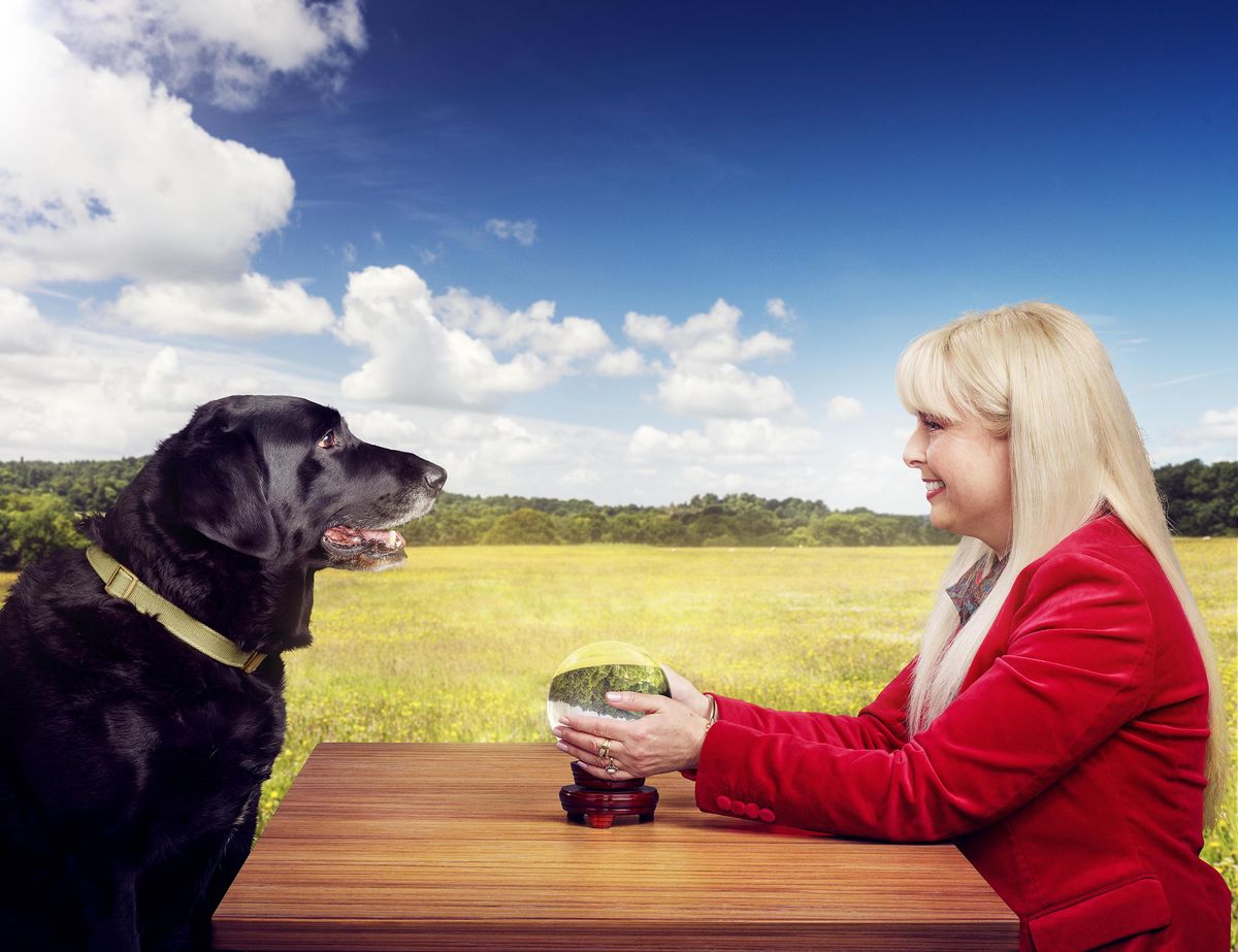 The Pet Psychic: What's Your Dog Thinking? — where to watch, host ...