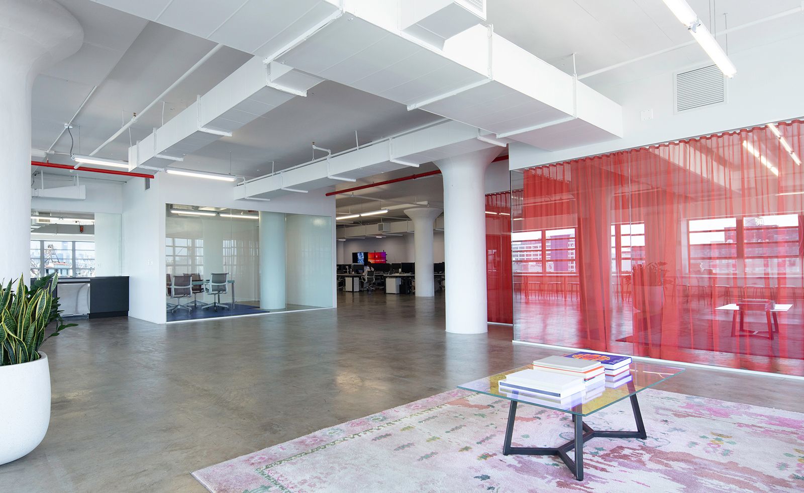 Inaba Williams and Kyle May design a clever Brooklyn office | Wallpaper