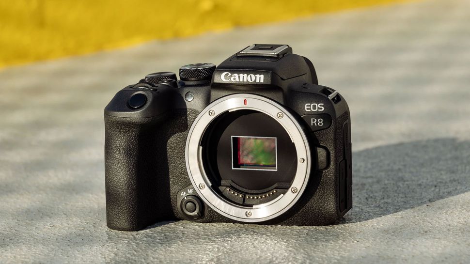 New Canon camera incoming? Canon EOS R8 set to land in February ...