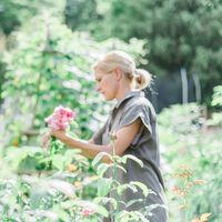 How to Revive Hydrangea Plants — Gardening Knowhow to Make Sure Your ...