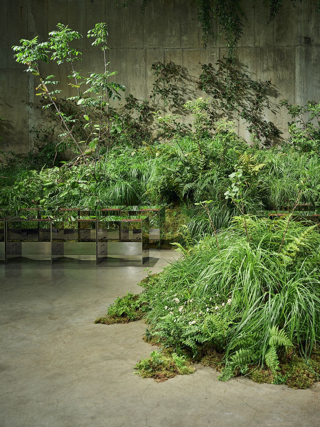 Gucci Cruise 2025: first look at the plant-filled show set | Wallpaper*