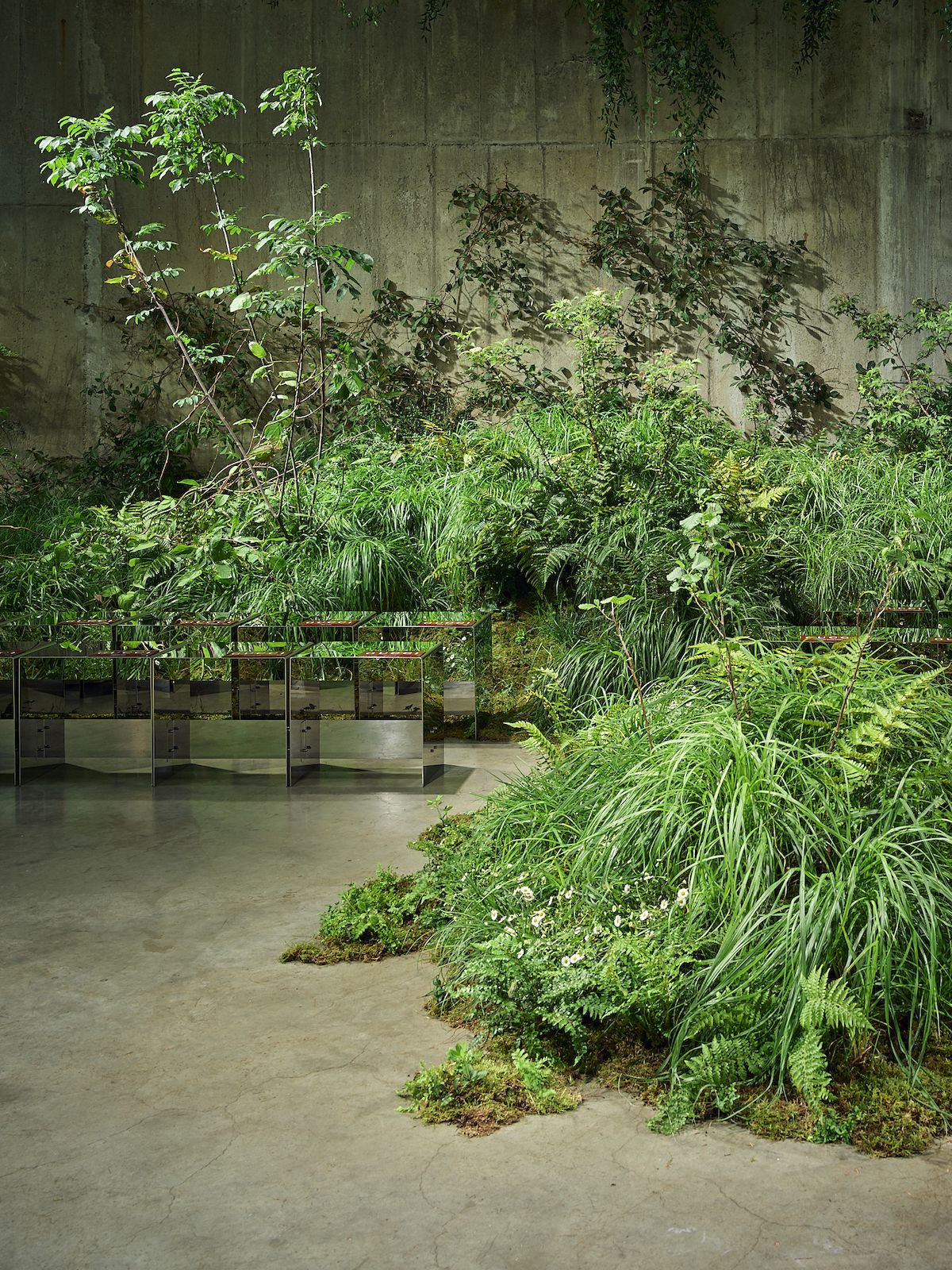 Gucci Cruise 2025: first look at the plant-filled show set | Wallpaper
