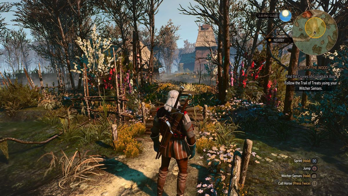 The Witcher 3 Ladies of the Wood quest and how to find the Crones of ...
