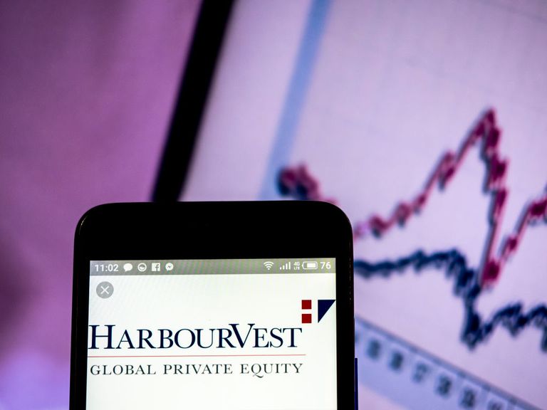 Should you invest in HarbourVest? | MoneyWeek