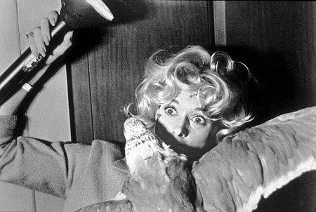The 50 Best Classic Horror Movies Ever | Marie Claire