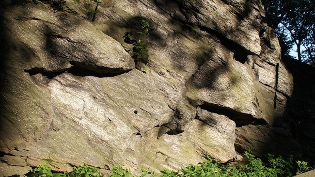 Central Park Geology Photos | Live Science