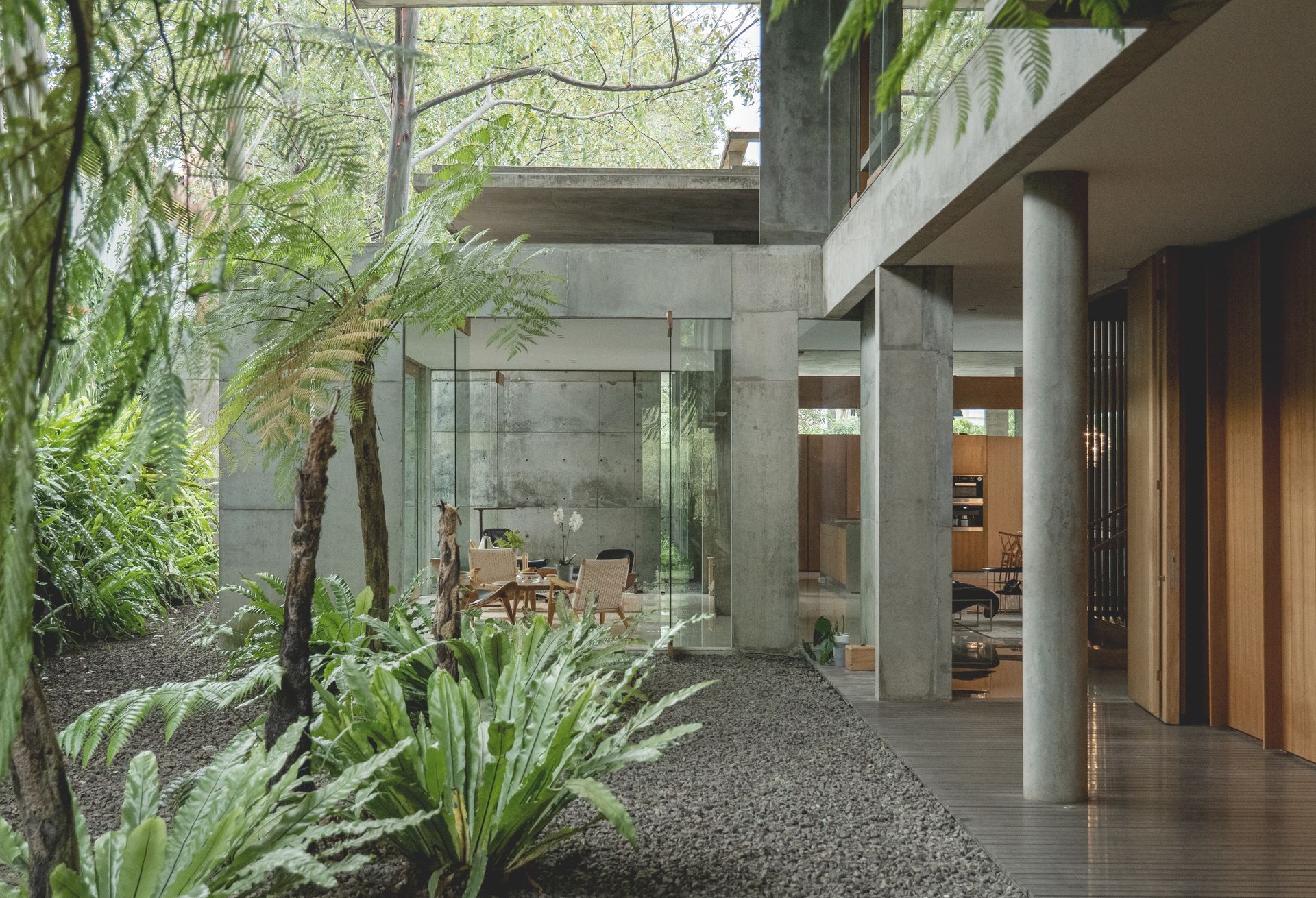 'Tropicality' seen through Andra Matin’s first monograph | Wallpaper*