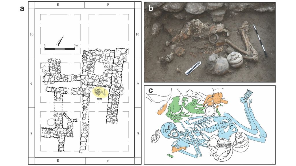3,400 years ago, 'brain surgery' left man with square hole in his skull ...