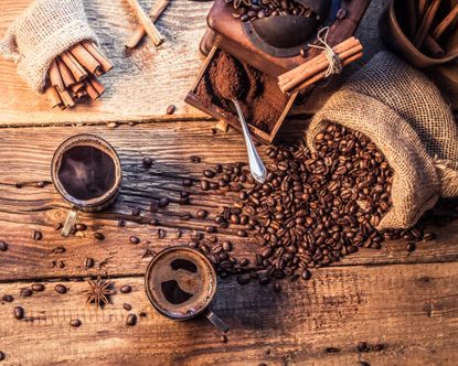 10 things that repel bugs — and likely have at home already | Real Homes