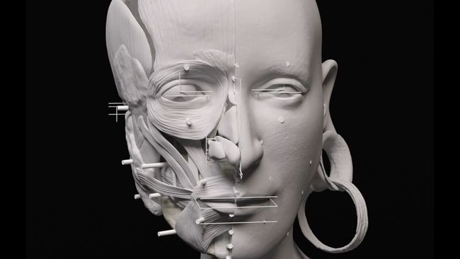 45 amazing facial reconstructions, from Stone Age shamans to King Tut ...