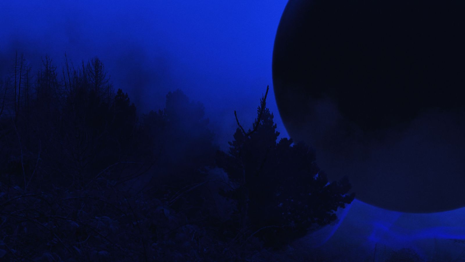 Rachel Rose ‘Good Morning Midnight’ opens at GL Strand | Wallpaper*