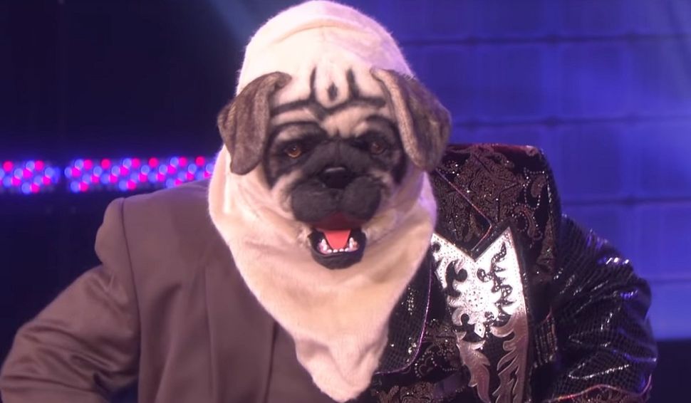 Fox's Masked Singer Spinoff Sounds Like A Big Misstep, But There's ...