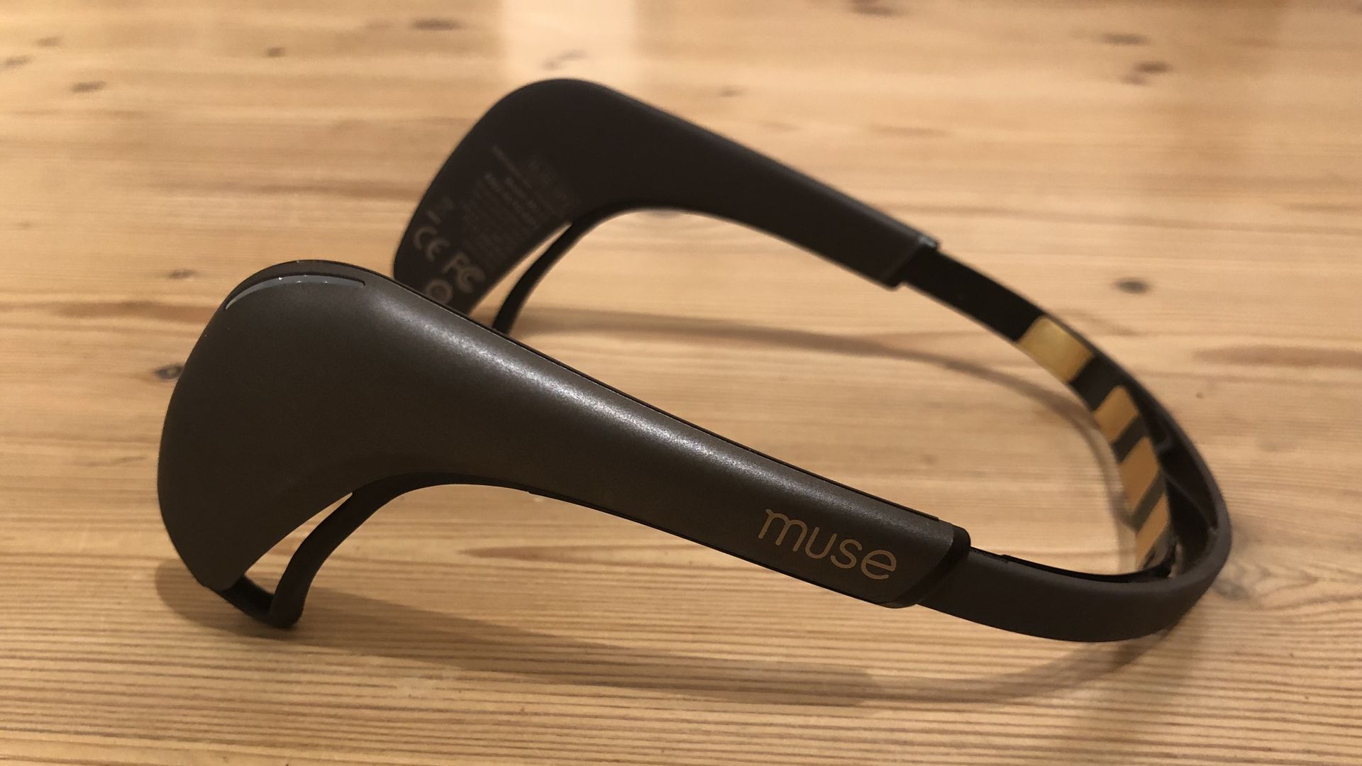 Muse 2 review | TechRadar