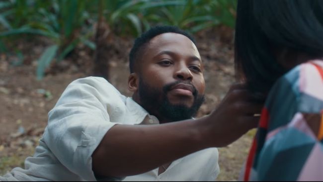 Home Wrecker cast: who's who in the Netflix thriller | What to Watch