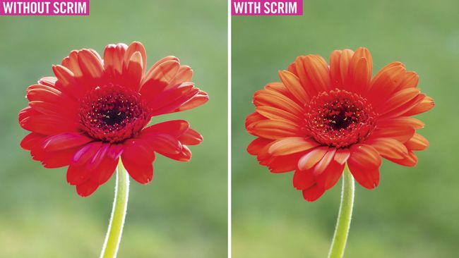 Photograph fantastic flowers at home with this cheap and simple camera ...
