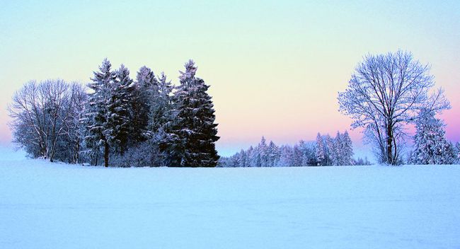Winter Wonderland: Images of Stunning Snowy Landscapes | Live Science