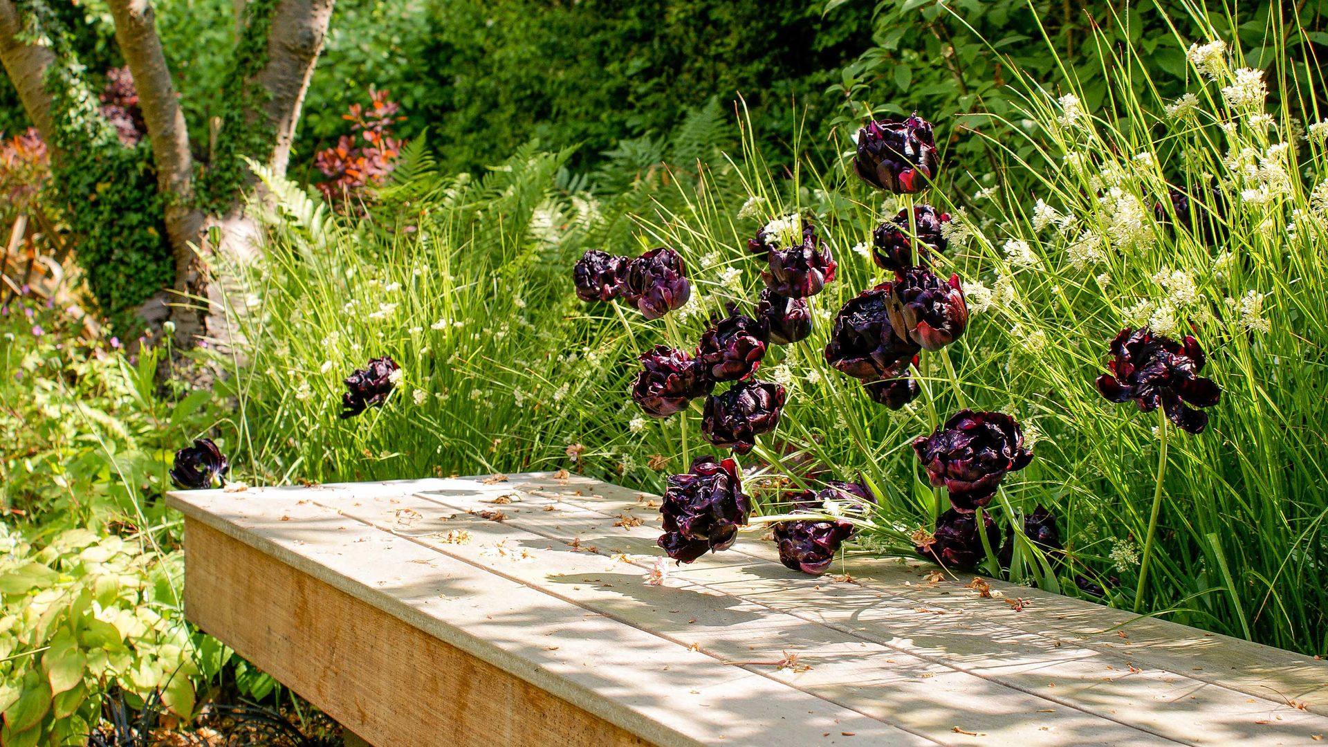 Shade garden ideas: 14 gorgeous designs to transform the shadowy spots ...